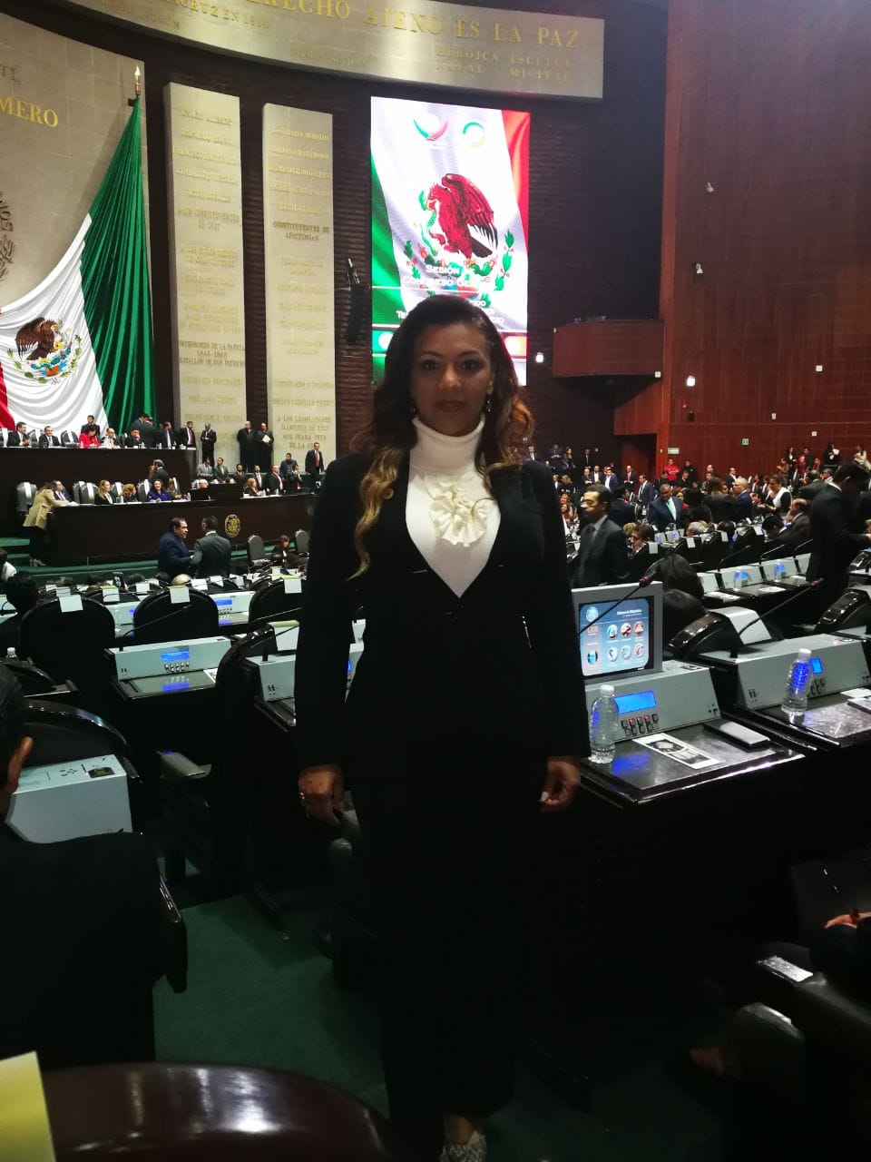 Gaby Ramírez podría volver a ser diputada federal del PAN - Observador ...